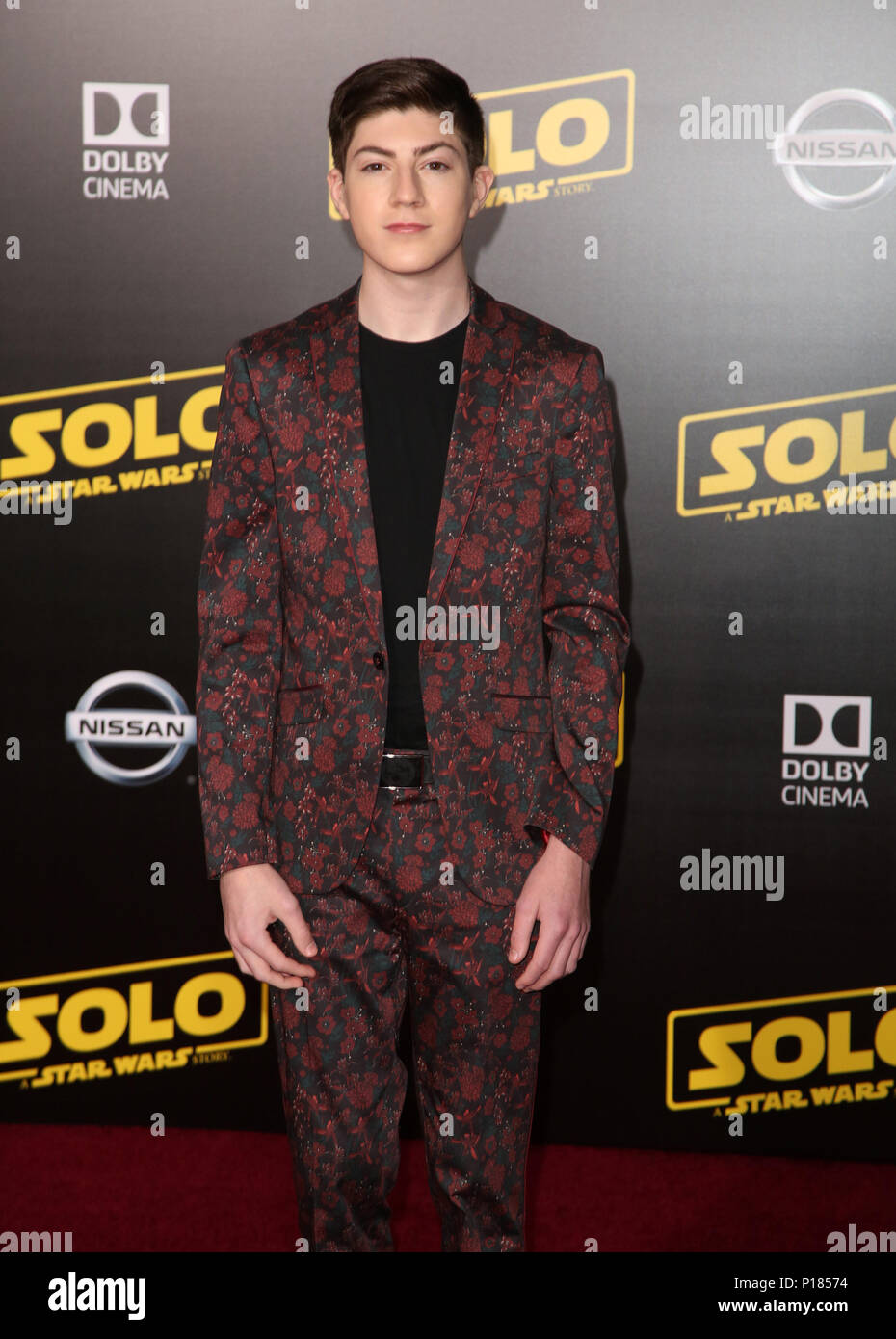 Celebrities attend Premiere of Disney Pictures And Lucasfilm's 'Solo: A ...