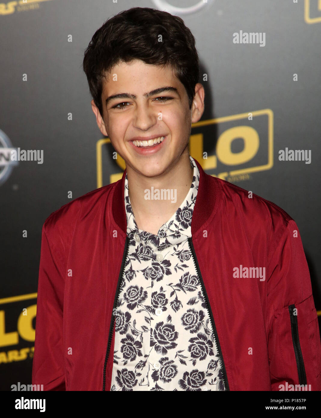 Celebrities attend Premiere of Disney Pictures And Lucasfilm's 'Solo: A ...