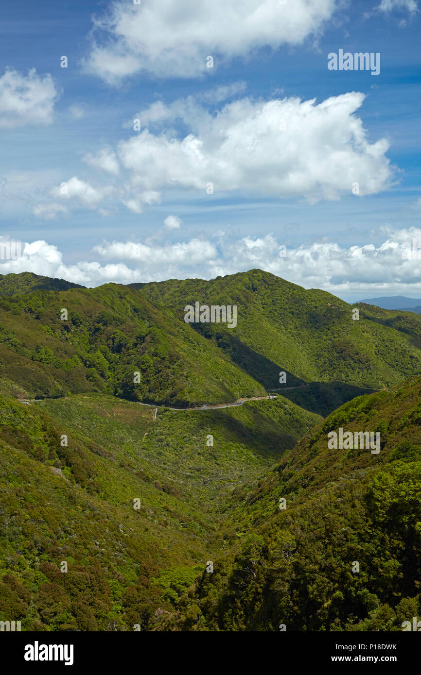 Rimutaka Hill Road, near Wellington, North Island, New Zealand Stock ...