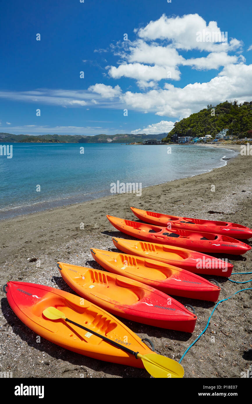 Wellington days bay hi-res stock photography and images - Alamy
