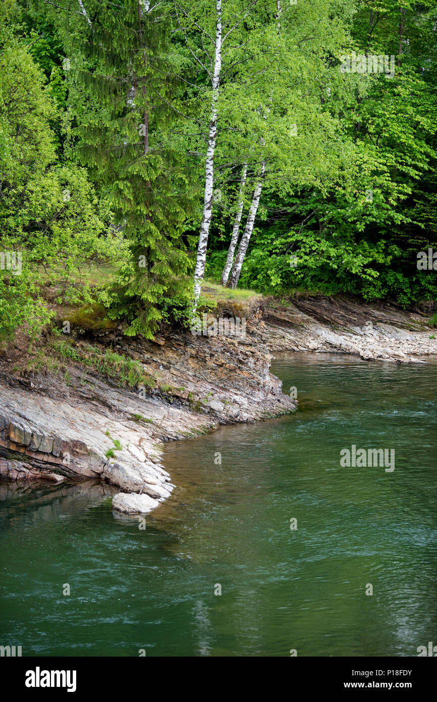 River deep in mountain forest. Nature composition Stock Photo - Alamy