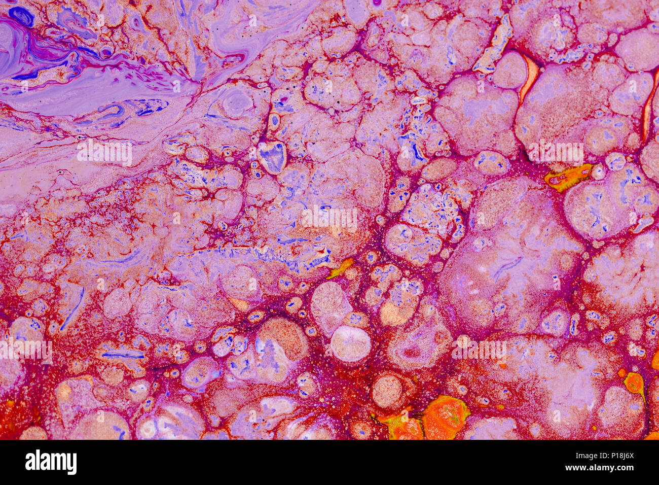 Abstract purple paint background. Acrylic texture with marble pattern ...