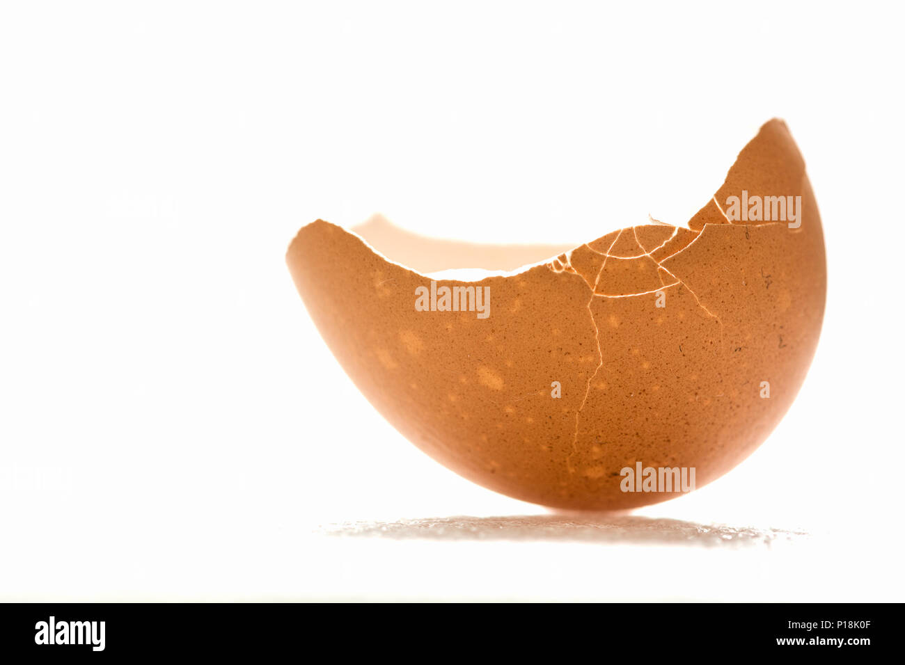 Egg shell structure Cut Out Stock Images & Pictures - Alamy