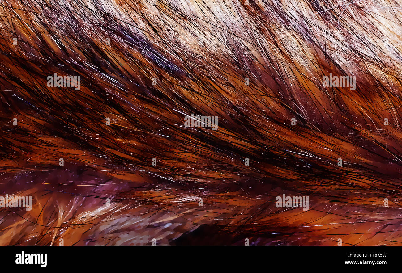 different structures and shades of fur - artificial fur texture Stock ...