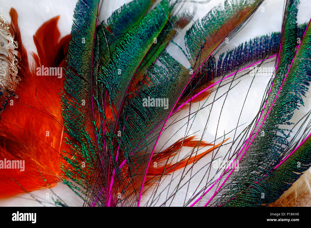 detail of a feather structure in beautiful color tones Stock Photo - Alamy