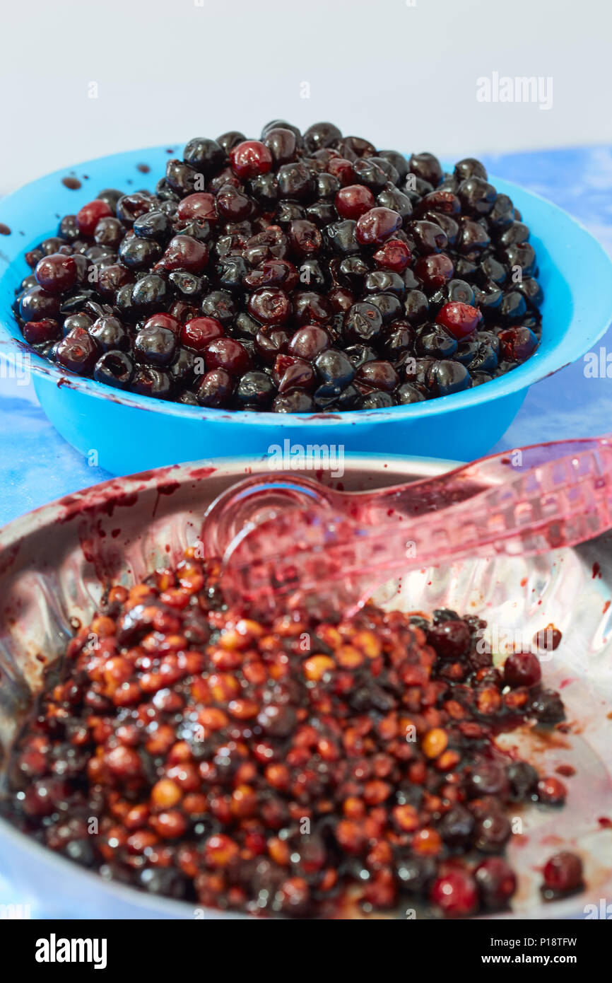 Pitted black bitter wild cherries ready to be turned into jam or ...