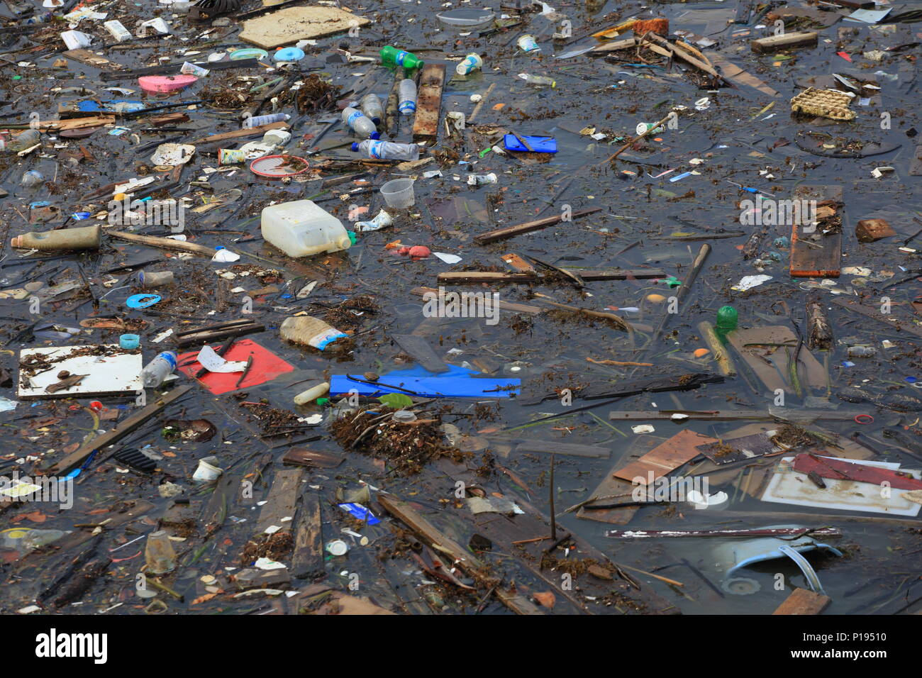 Plastic pollution items is floating on the water Such act will affect ...