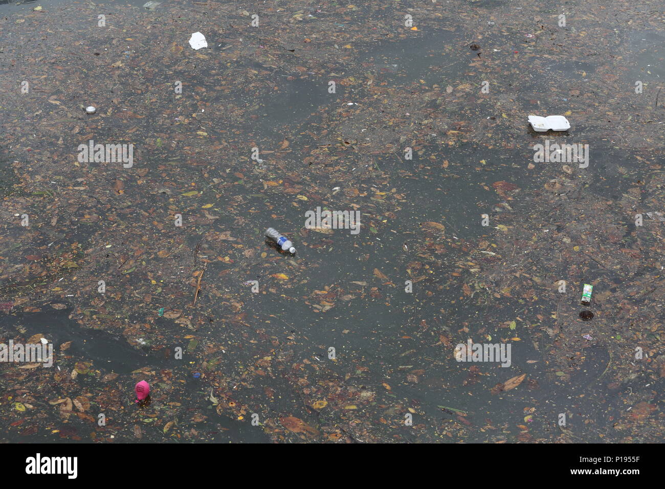 Styrofoam packet, bottle containers and plastic floating on the water ...