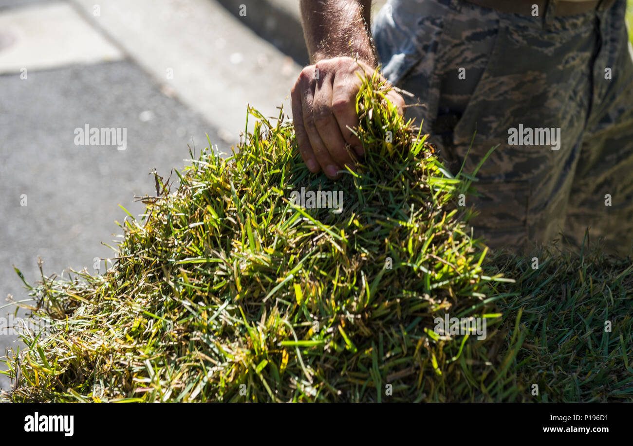 1 soces hi-res stock photography and images - Alamy