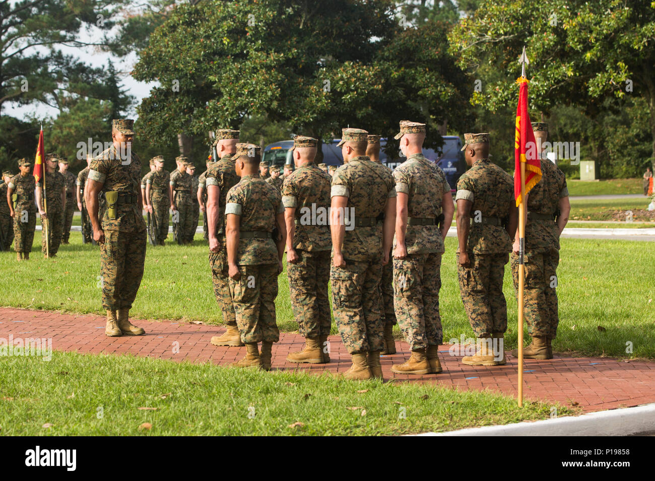 2d Mardiv Stock Photos & 2d Mardiv Stock Images - Alamy