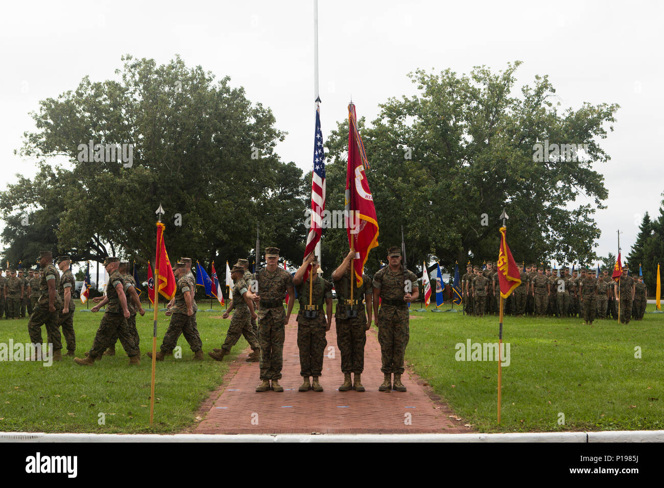 2d Mardiv Stock Photos & 2d Mardiv Stock Images - Alamy