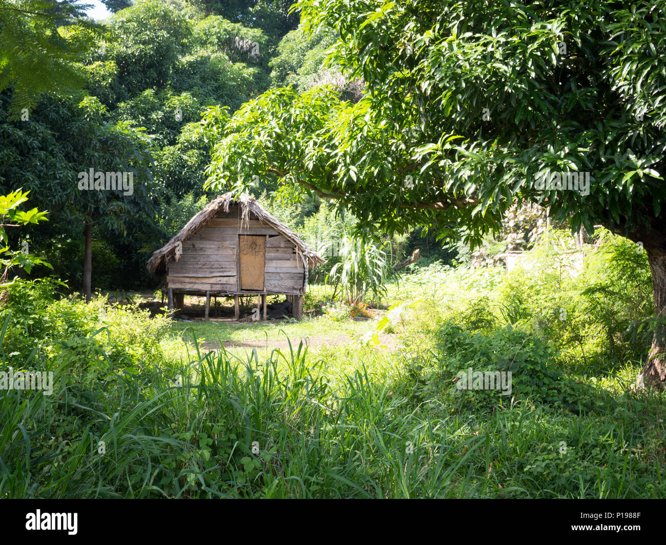 Traditional village vanuatu hi-res stock photography and images - Alamy