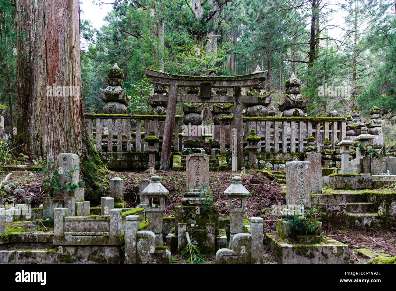 Stone Monuments, Tombstones and Mausoleum's in Okunoin Buddhist ...