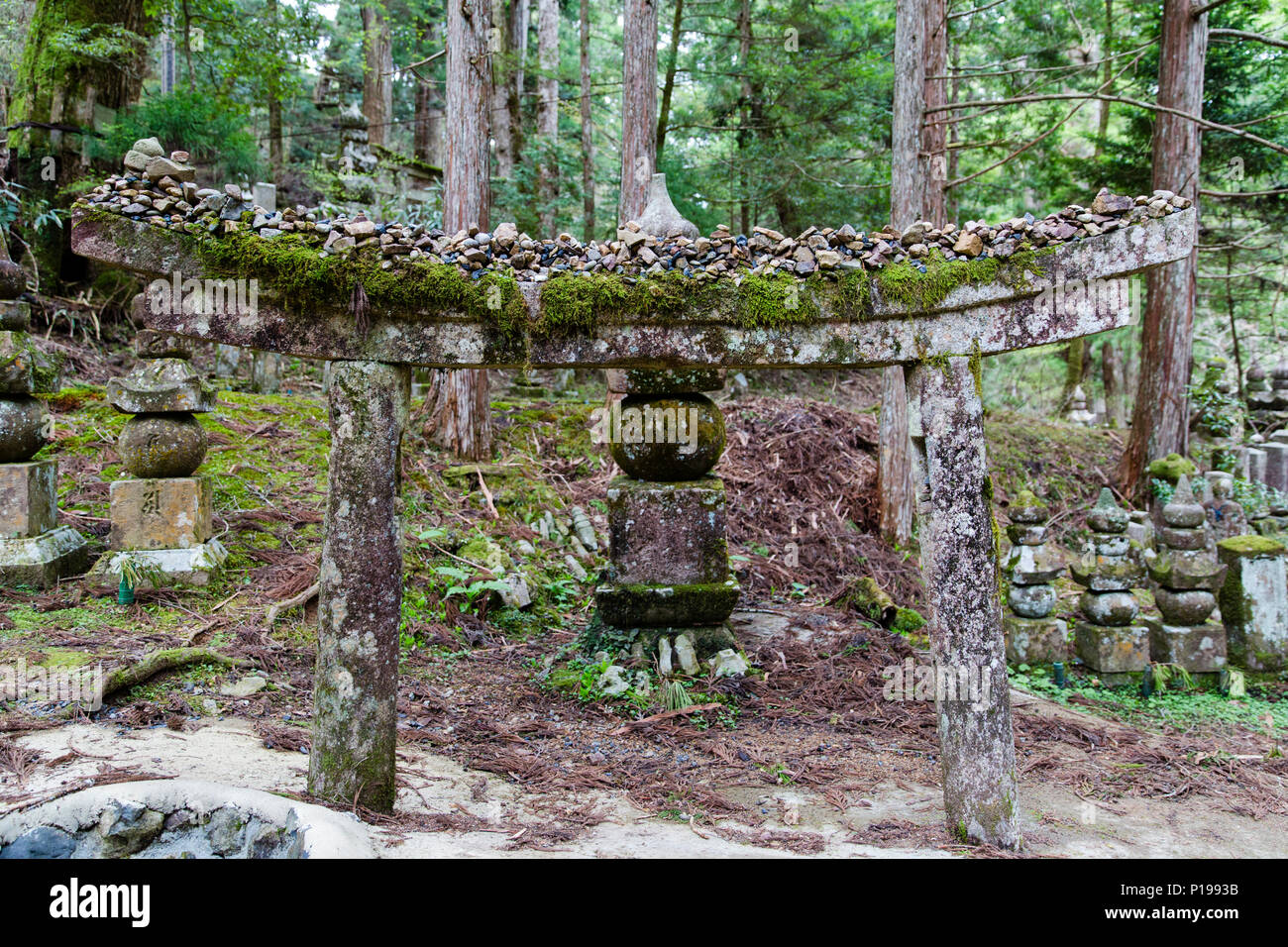 Forest Gate Cemetery High Resolution Stock Photography and Images - Alamy