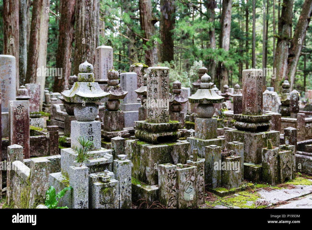 Stone Monuments, Tombstones and Mausoleum's in Okunoin Buddhist ...