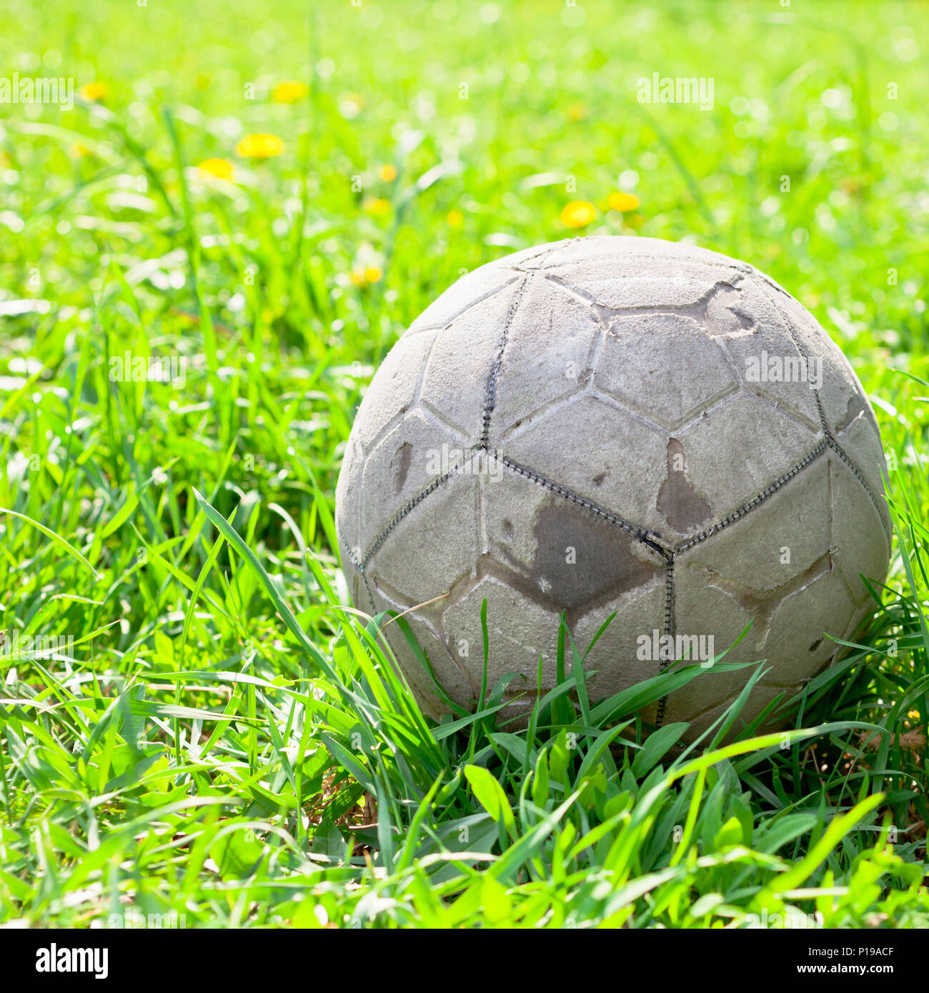 Old soccer ball forgotten in the green grass field. The football ...