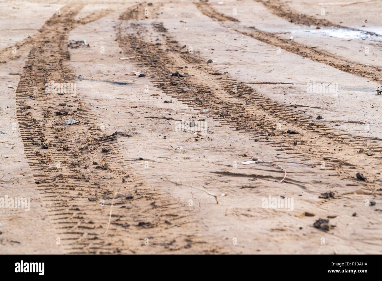 Car tracks on the sand Stock Photo - Alamy