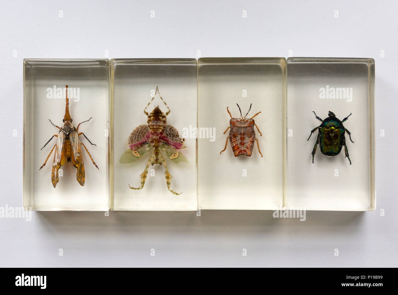 Clear resin hi-res stock photography and images - Alamy