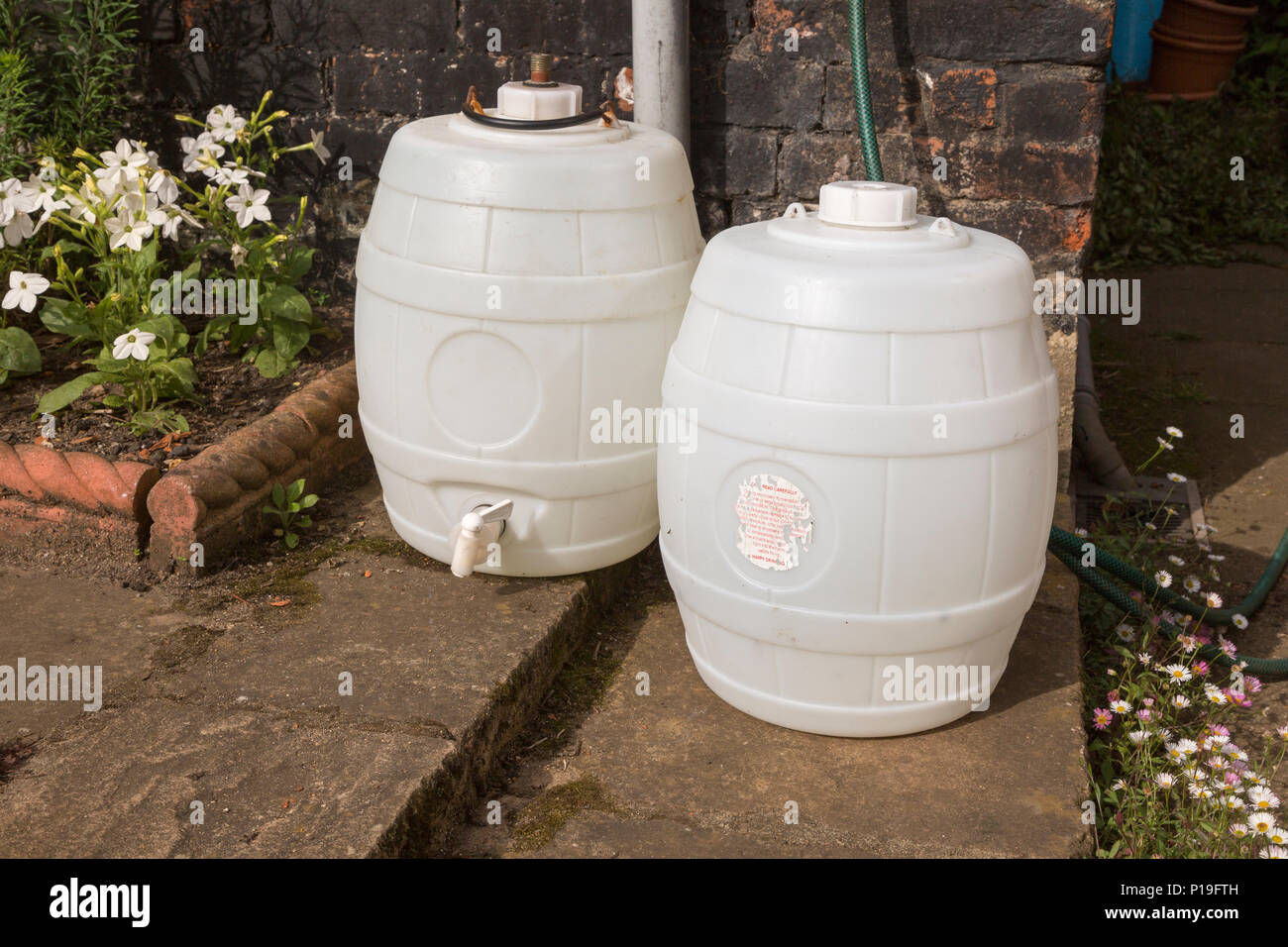 Two white plastic pressure barrels for beer home brewing, UK Stock ...