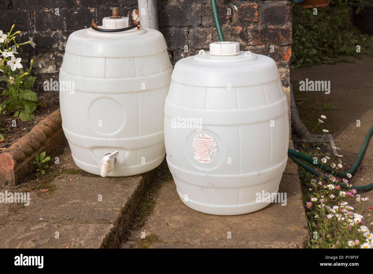 Two beers brewing hi-res stock photography and images - Alamy