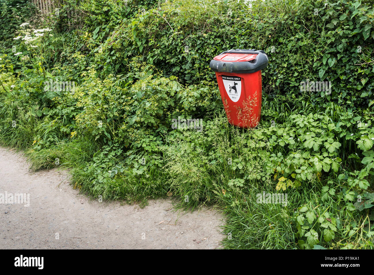 A dog waste disposal bin in a hedge Stock Photo - Alamy