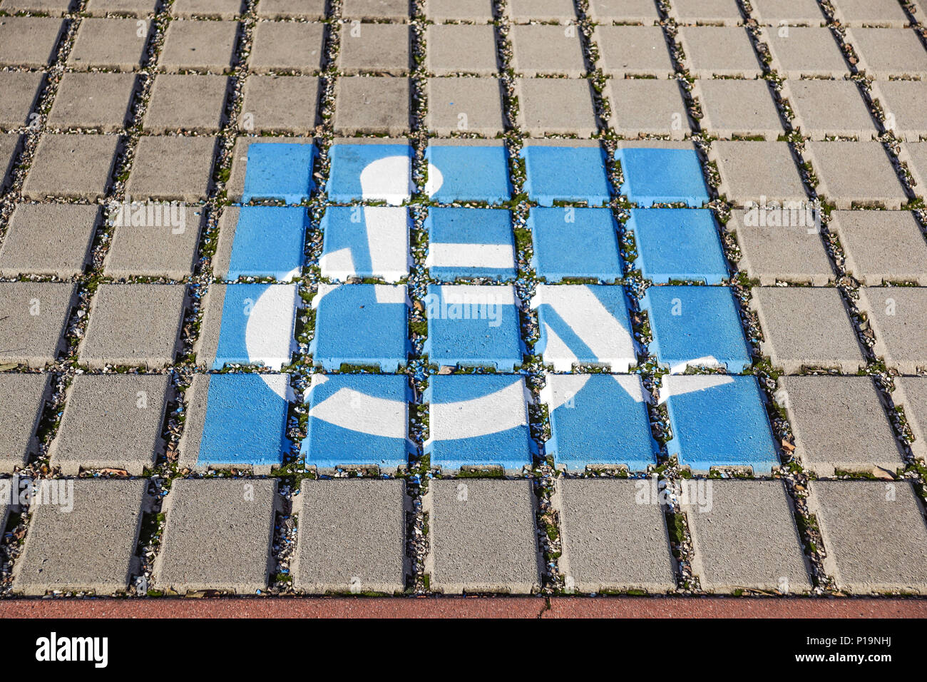 Handicapped parking spot - transportation infrastructure road markings ...