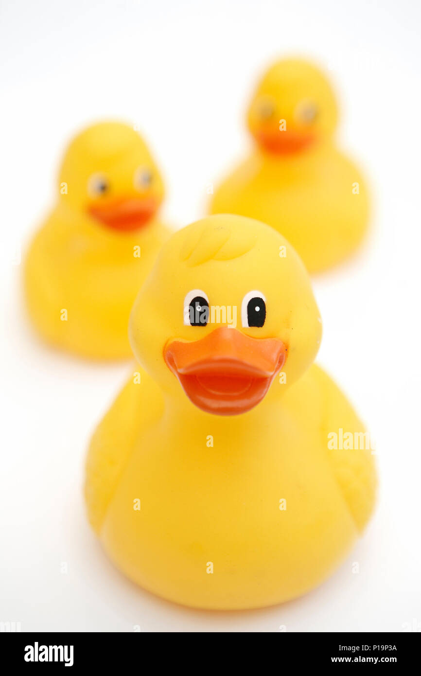 Cheeky expression yellow toy plastic bath ducks and ducklings Stock ...