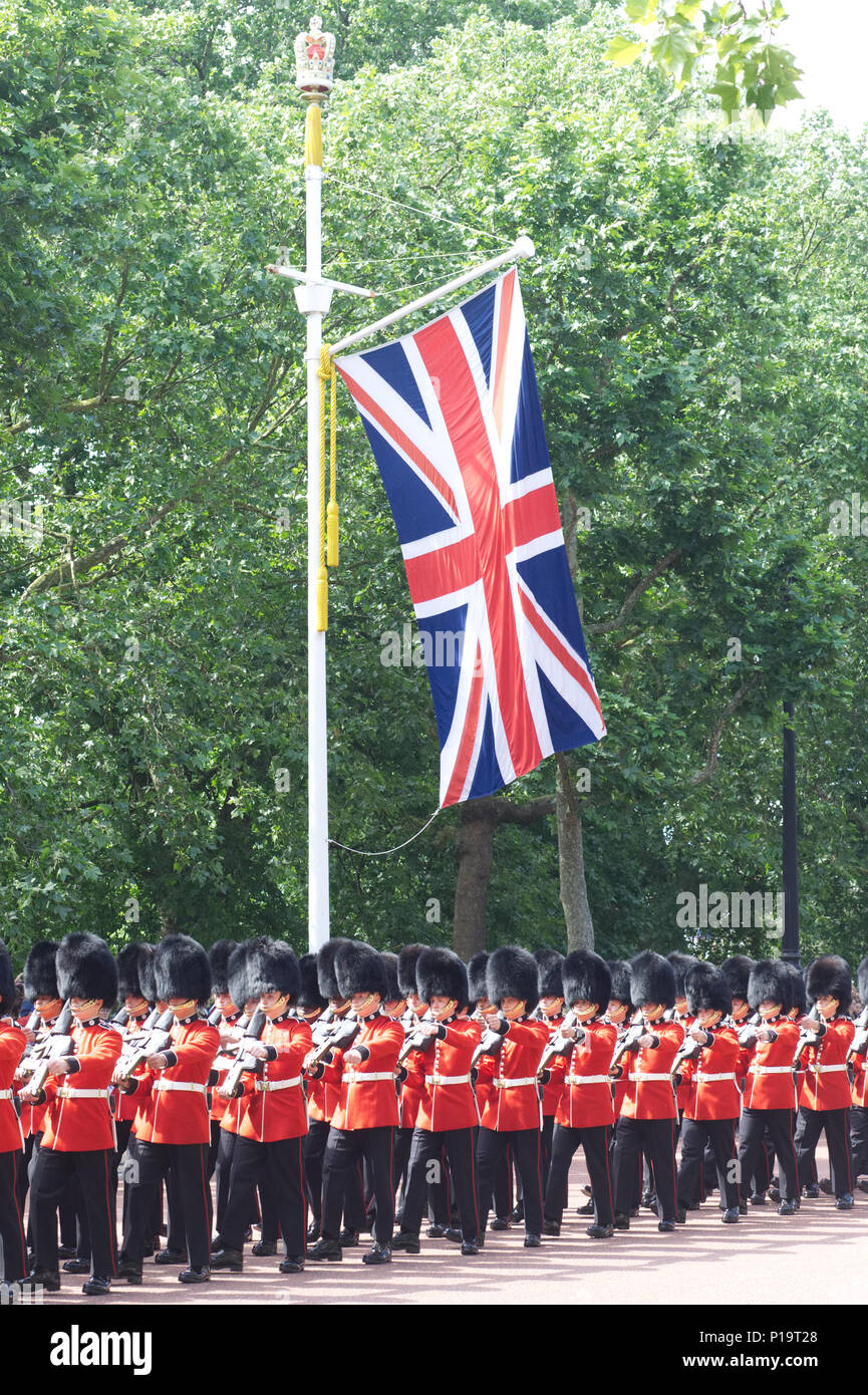 Coldstream guards oldest regiment in hi-res stock photography and ...