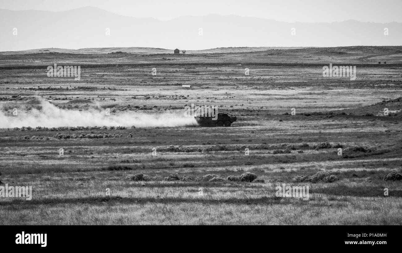 Stryker armored vehicle Black and White Stock Photos & Images - Alamy