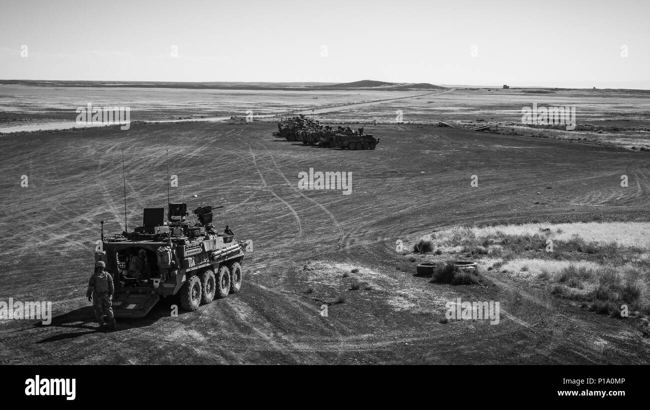 U.S. Army Stryker armored vehicles assigned to 1st Stryker Brigade ...