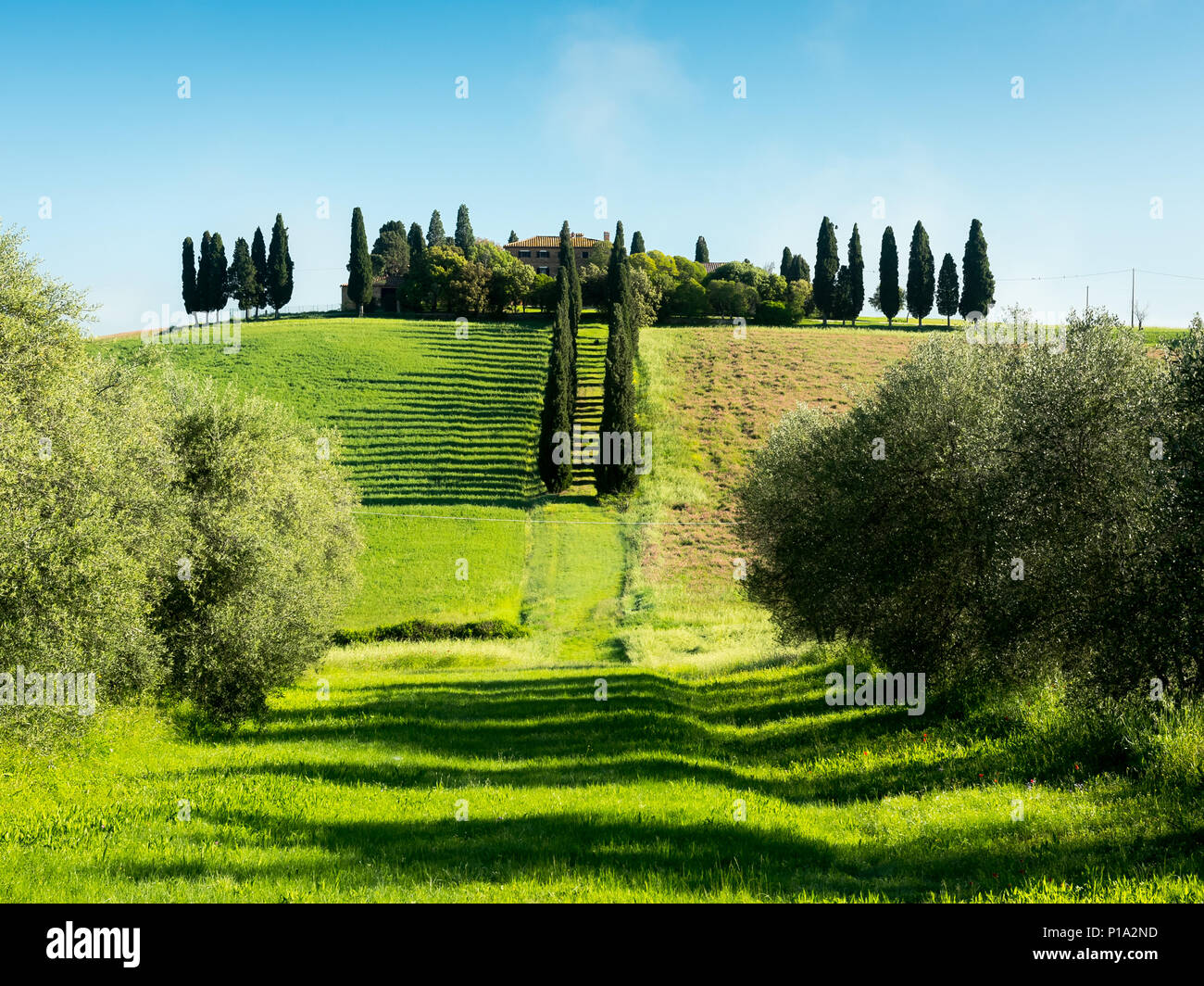The beauty of the Val d'Orcia in Tuscany , Italy Stock Photo - Alamy
