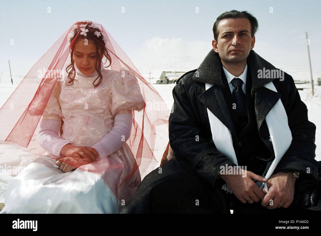 Vodka lemon year hi-res stock photography and images - Alamy