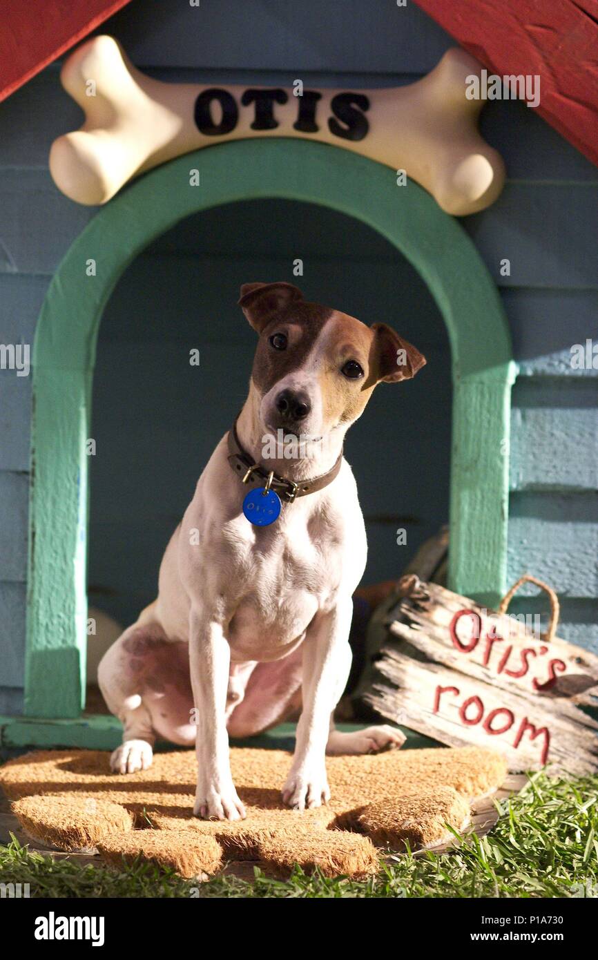 Original Film Title: SON OF THE MASK. English Title: SON OF THE MASK ...