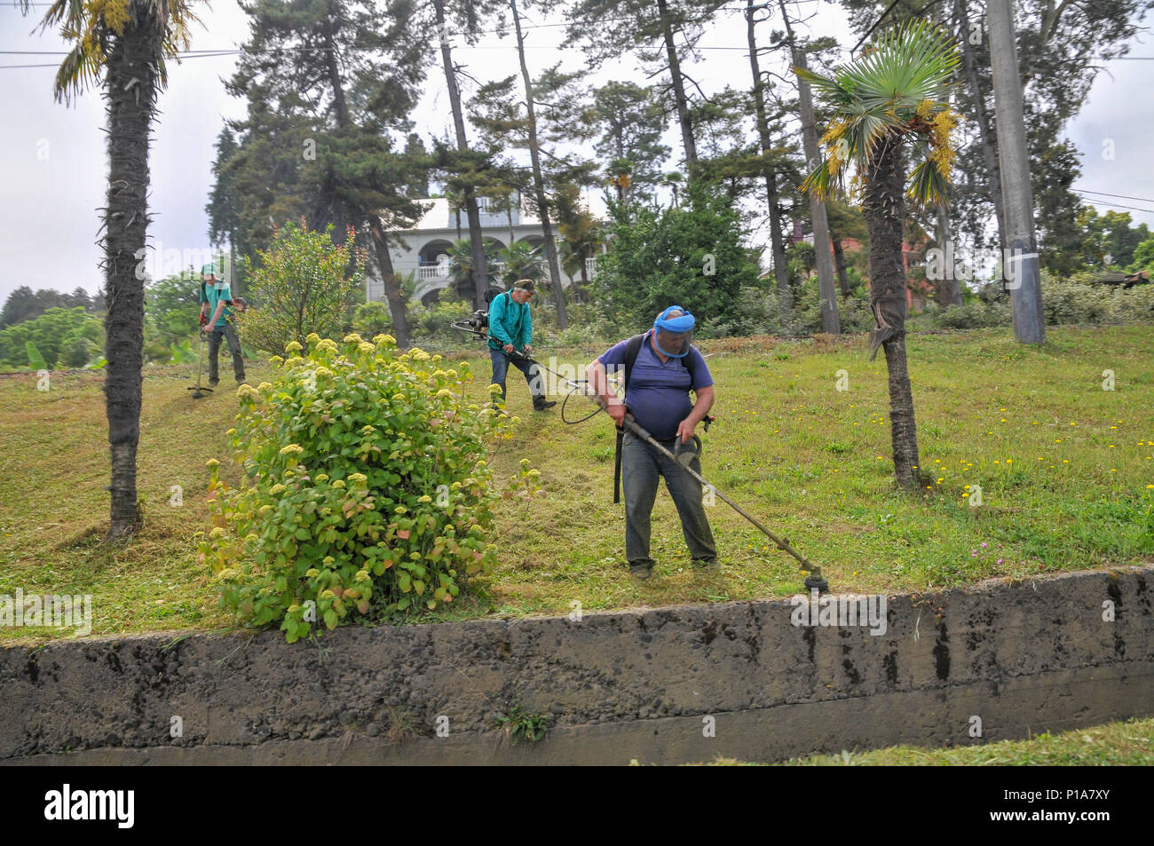 Gardeners in a public park hi-res stock photography and images - Alamy