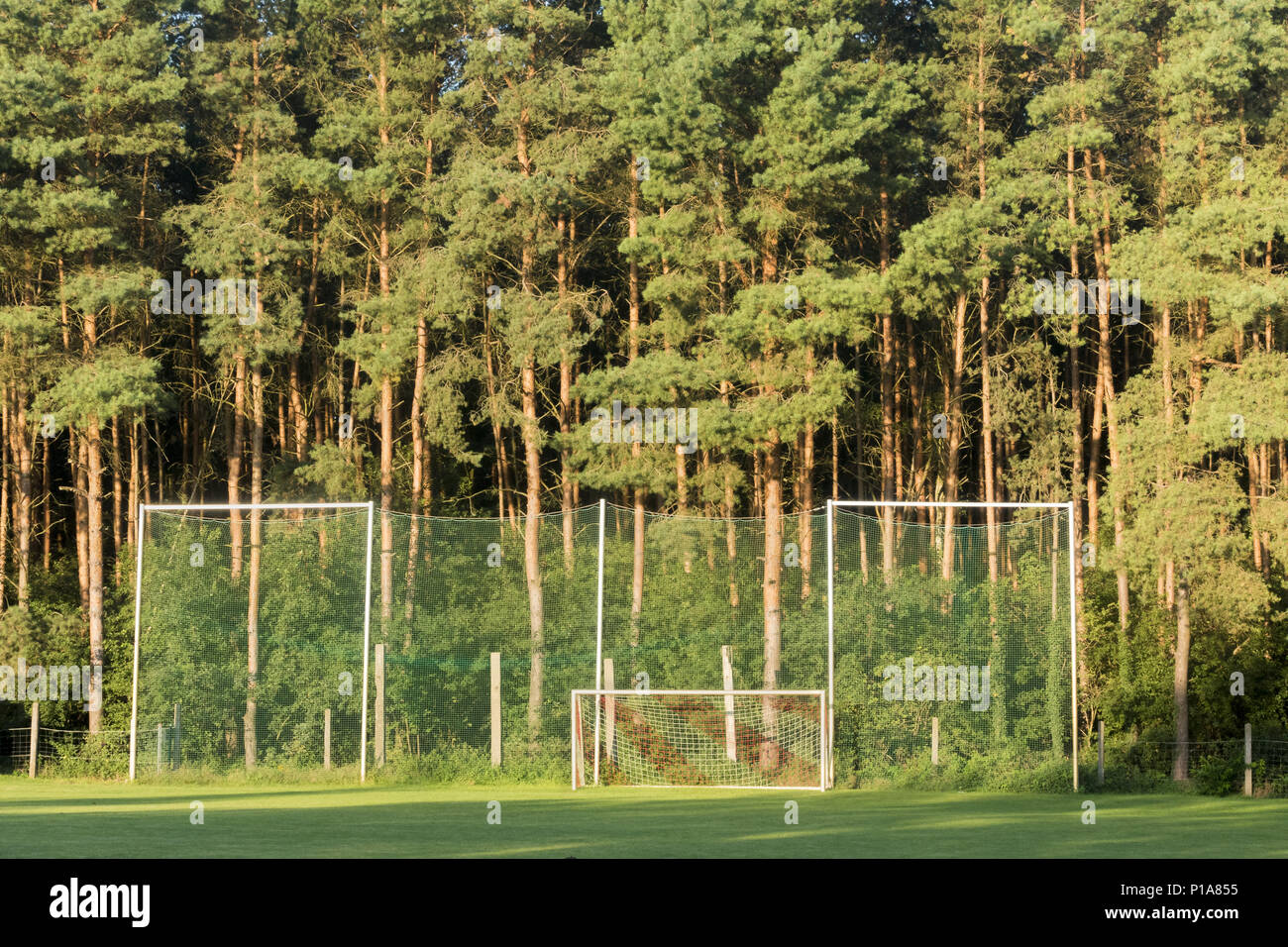 Berlin, Germany, football goal at the edge of the forest Stock Photo ...