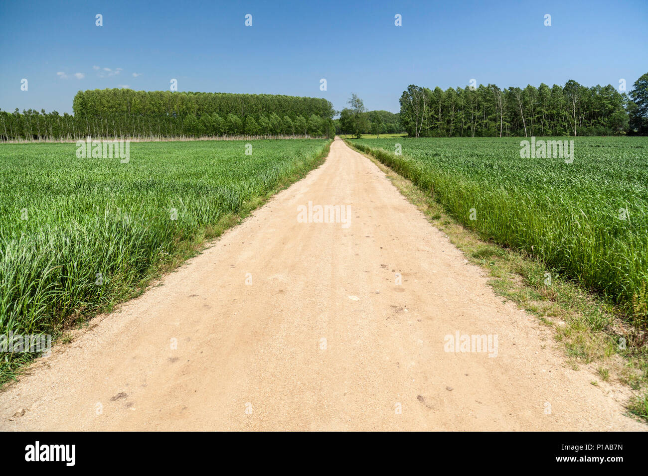 Landscape, spring day near to village of Sils,Catalonia,Spain Stock ...