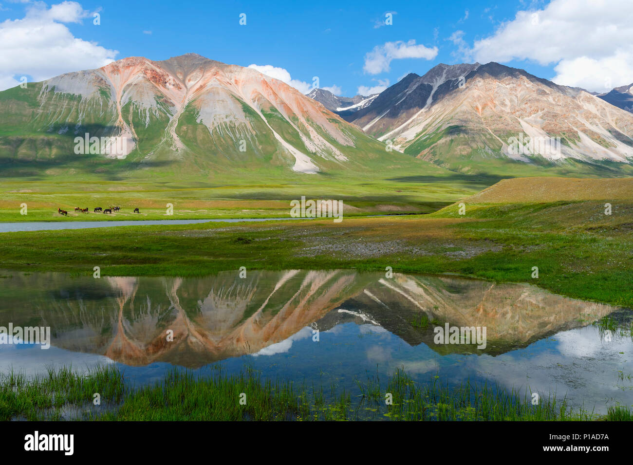 Mountains reflecting in water, Naryn gorge, Naryn Region, Kyrgyzstan ...
