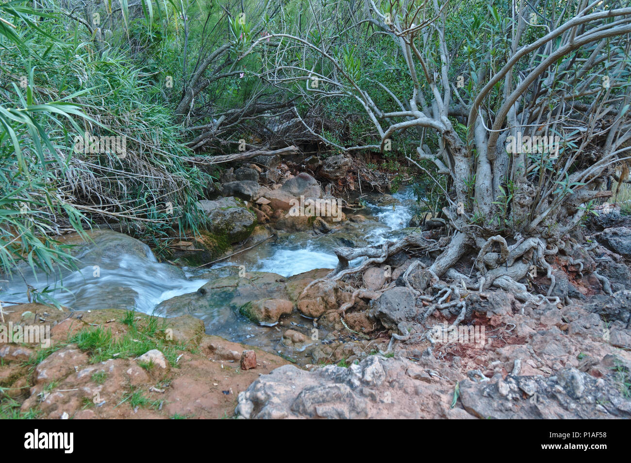 Queda do Vigario Waterfall in Alte. Algarve, Portugal Stock Photo - Alamy