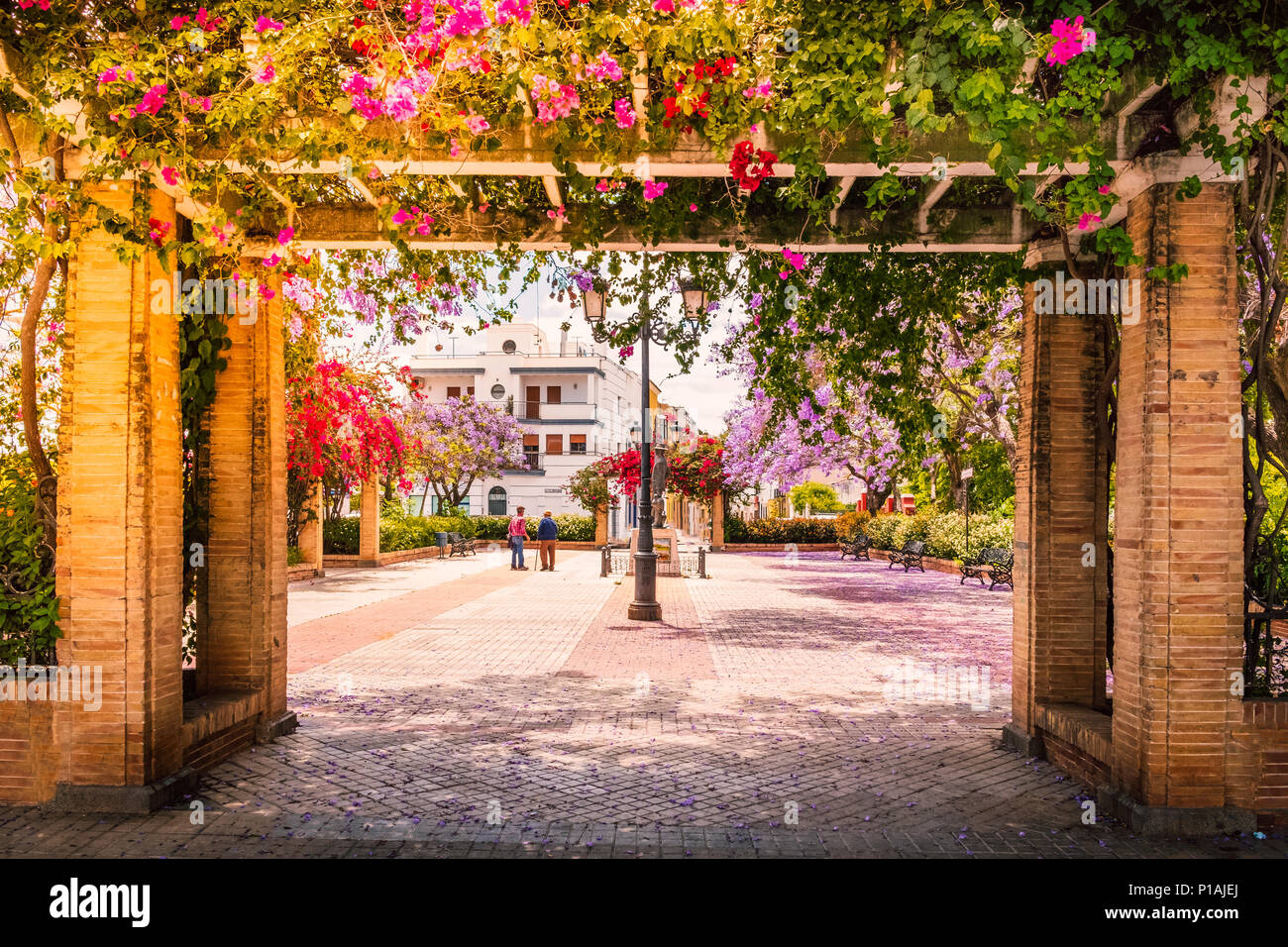 A pretty square in Ayamonte, Andalucia, Spain, with a pergola covered ...