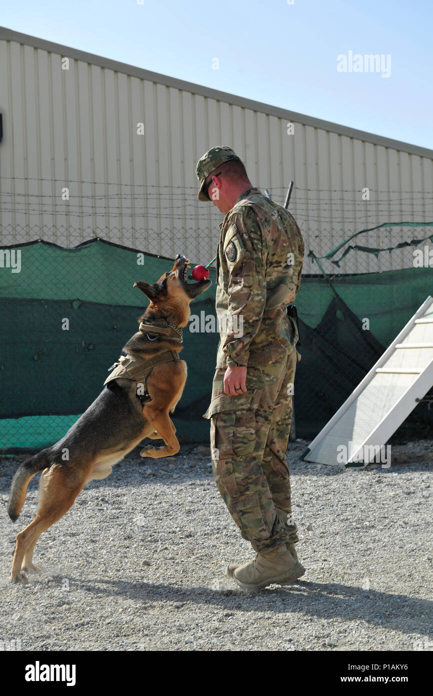 BAGRAM AIRFIELD, AFGHANISTAN (Oct. 7, 2016) - U.S. Army Sgt. Ethan ...