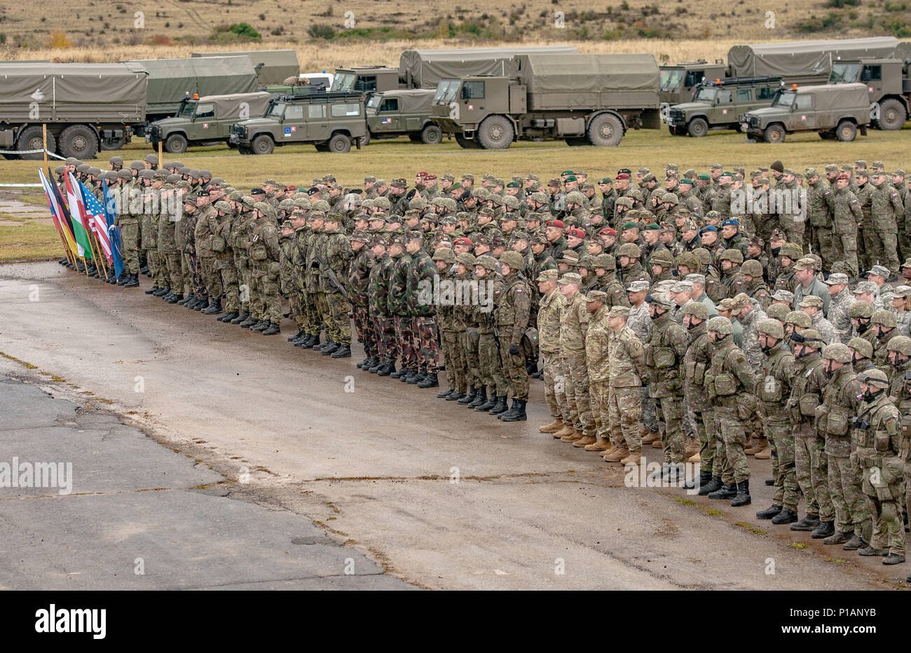 U.S. Army Soldiers, Armed Forces of the Slovak Republic, Czech Army ...