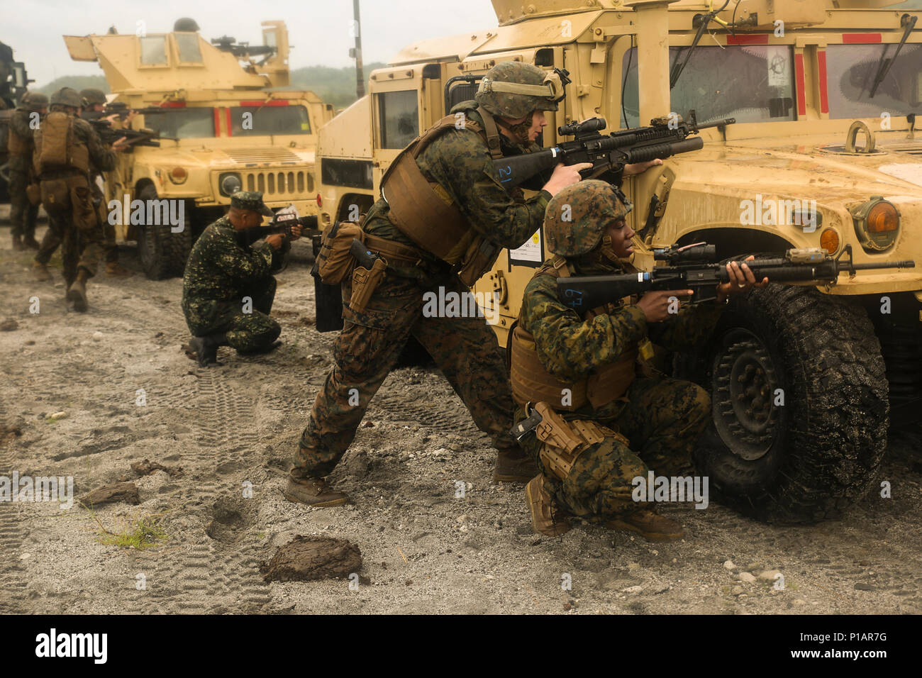 U.S. Marine military police with Military Police Platoon, Combat ...