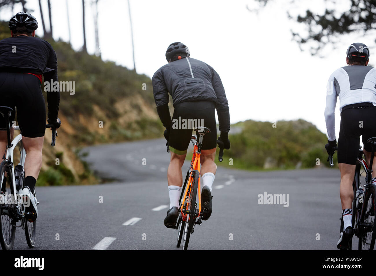 Male cyclists cycling on road Stock Photo - Alamy