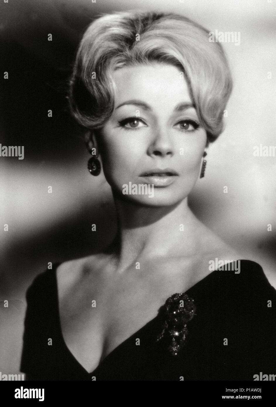 Dany Robin Dany Robin Dany Stock Photos & Dany Robin Dany Robin Dany ...