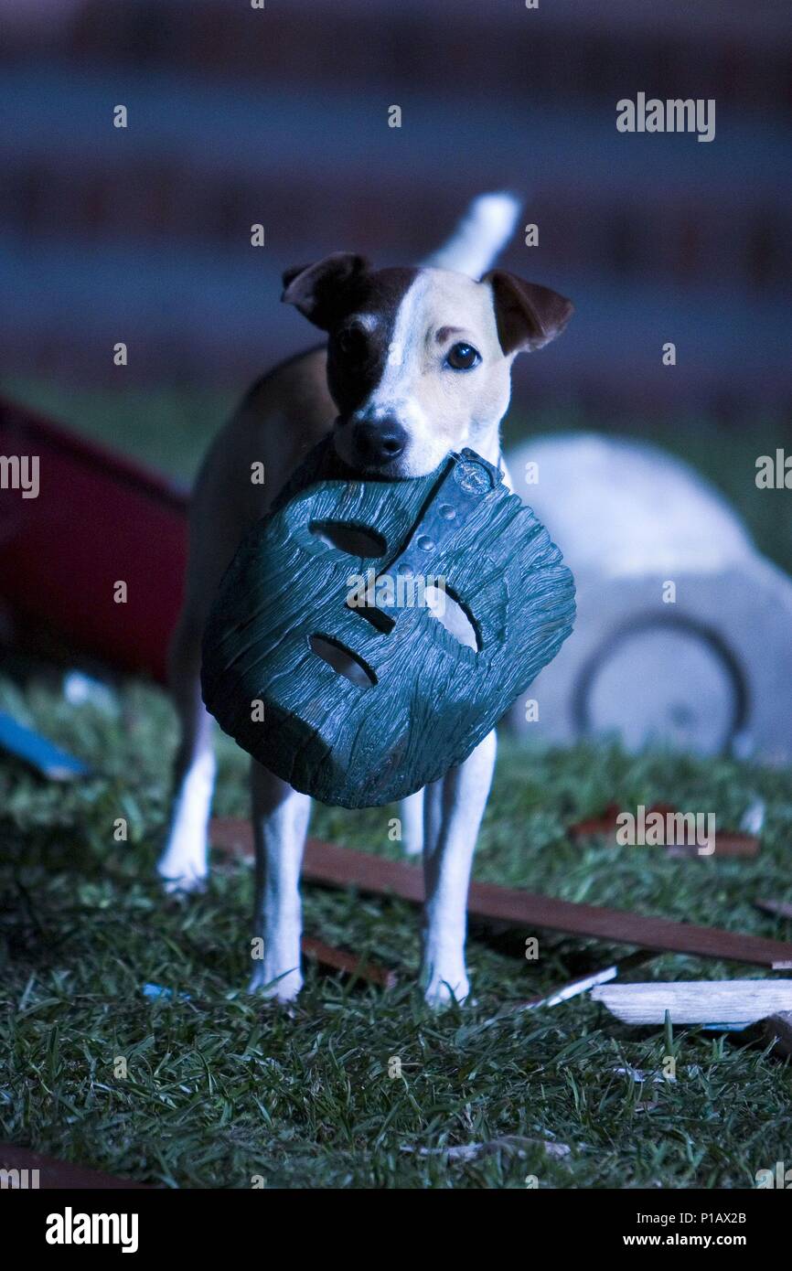 Original Film Title: SON OF THE MASK. English Title: SON OF THE MASK ...