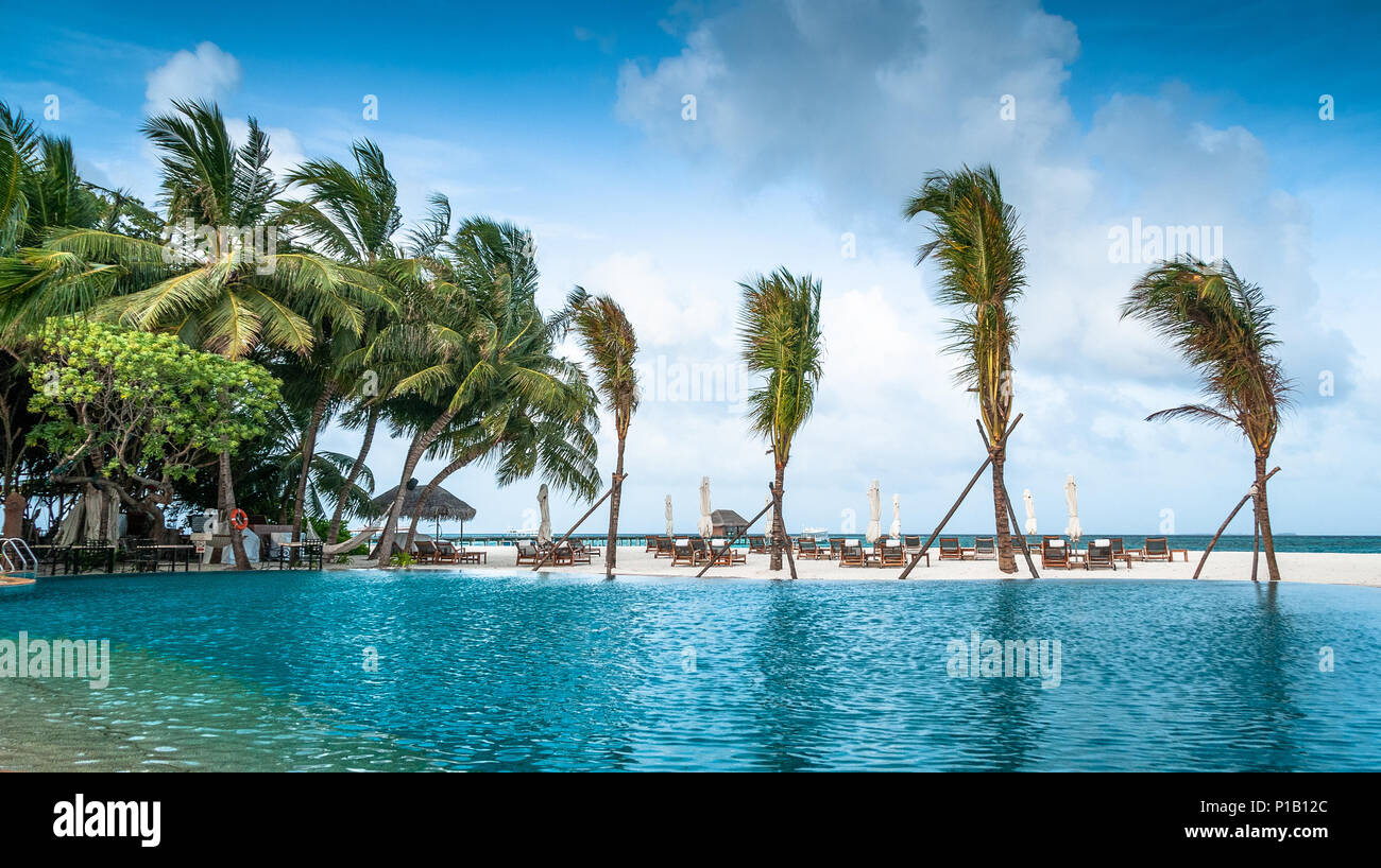 Tropical swimming pool on Maldives. Infinity pool with palms in front ...