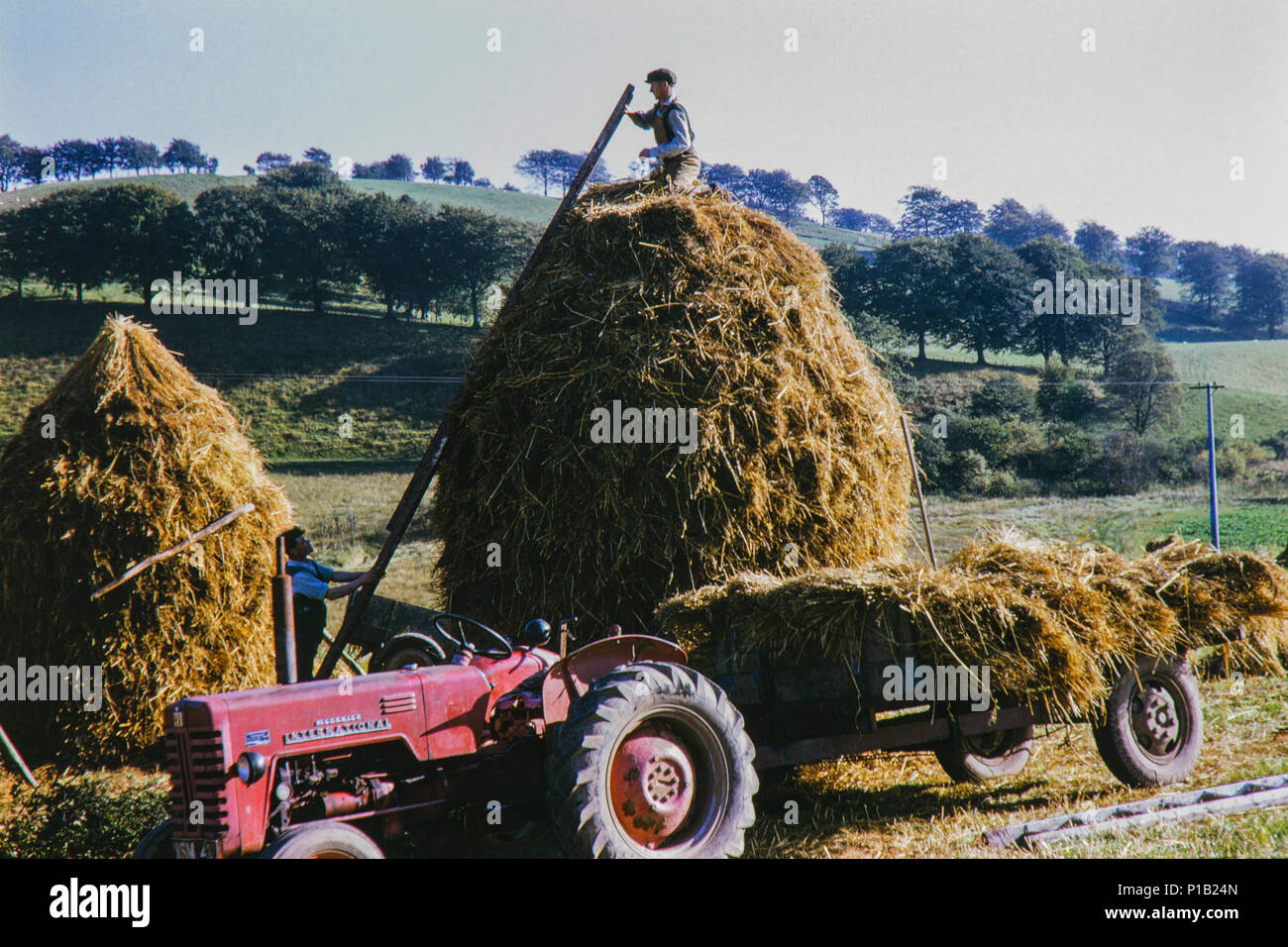 Vintage farming, creating a haystack. Unknown location within the UK in ...