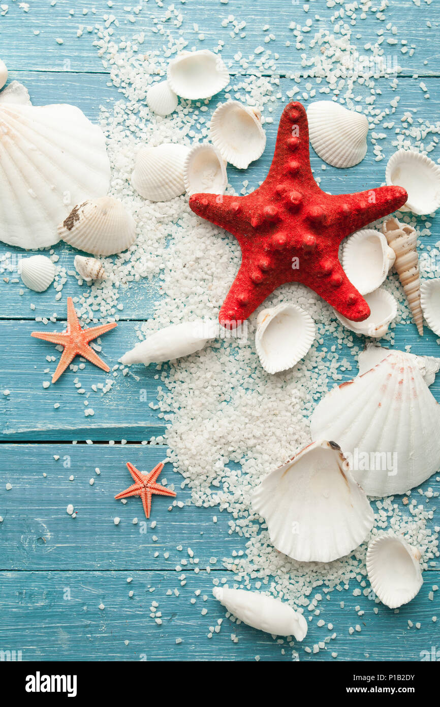 Summer sea background - shells and star Stock Photo - Alamy