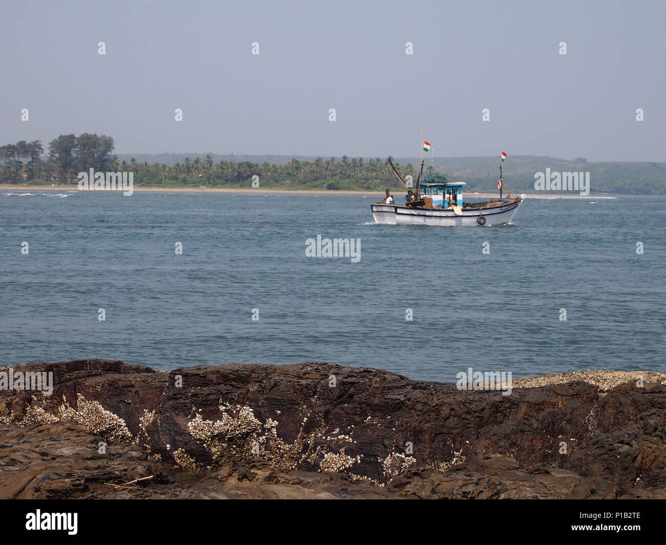 Artisanal fisheries fleet returning to port after a day’s fishing, in ...