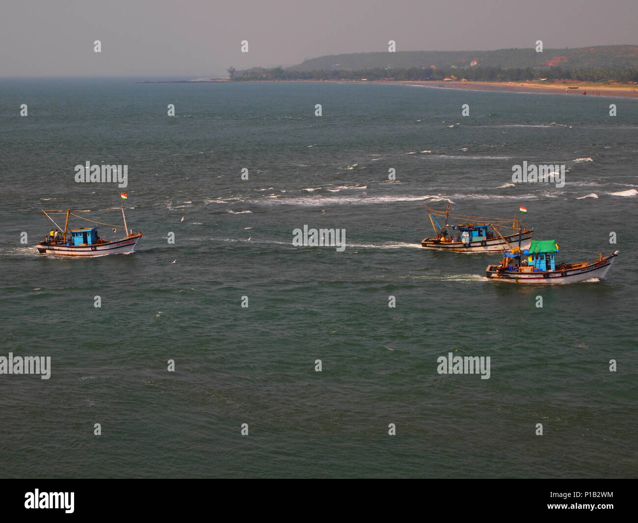 Artisanal fishing fleet returning to port after a day’s fishing in Goa ...